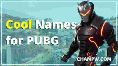 700+ Best PUBG Names | Stylish, Cool, Funny PUBG Names
