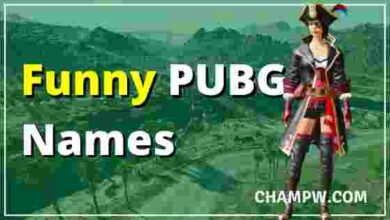 700+ Best PUBG Names | Stylish, Cool, Funny PUBG Names
