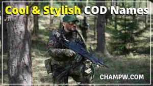 750+ Funny COD Names Ideas For Your COD Usernames