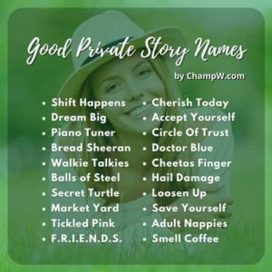 700+ Good Private Story Names To Make You Style Icon