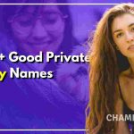 350+ Funny Private Story Names You Must Try In 2024