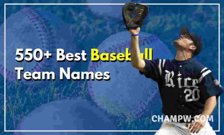 550+ All Time Best Baseball Team Names Ideas