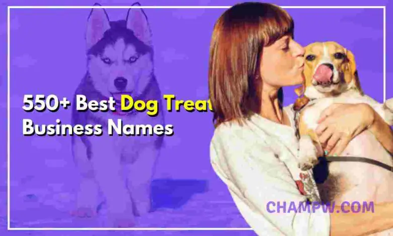 550+ Best Dog Treat Business Names For Your Business