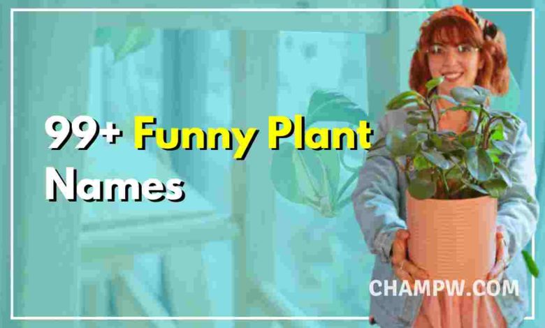 99+ Funny Plant Names For Your Dear Little Plant