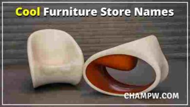 550+ Creative & Catchy Furniture Store Names Ideas