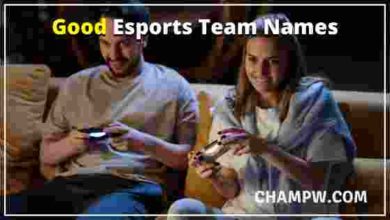 550+ All Time Best Esports Team Names Ideas