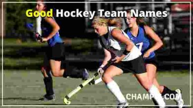 550+ All Time Best Hockey Team Names Ideas