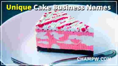 550+ Creative & Catchy Cake Business Names Ideas