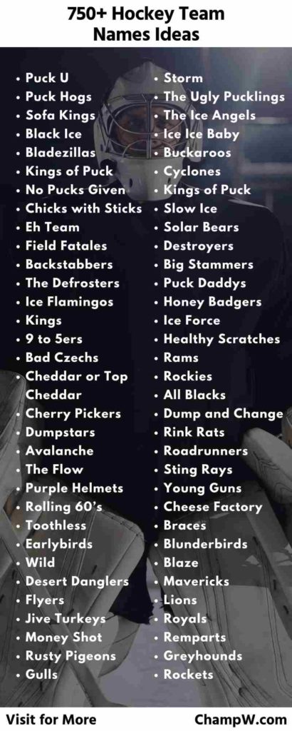 550+ All Time Best Hockey Team Names Ideas