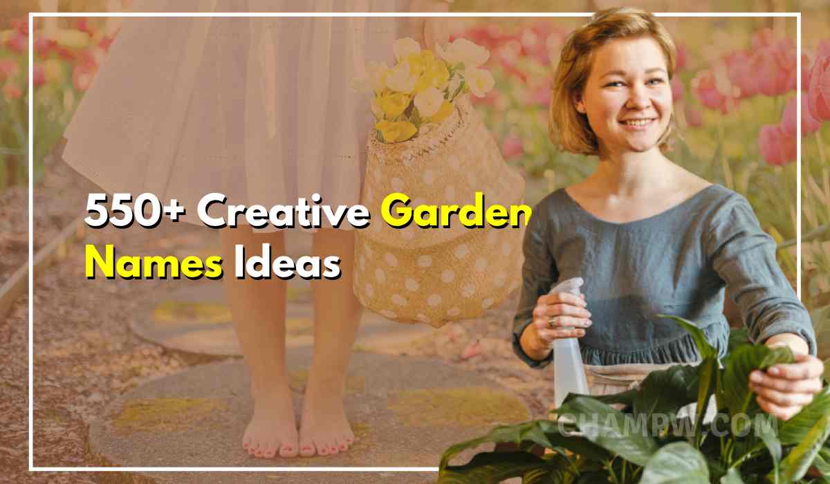 550 Creative Garden Names For Your Beautiful Nursery 550 Creative Garden Names For Your Beautiful Nursery