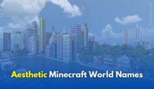 170+ Minecraft World Names That Are Cool & Stylish