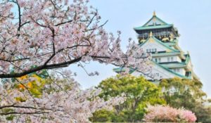 550+ Japanese Usernames That Are Cool And Catchy