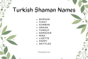 550+ Best Shaman Names From Around The World