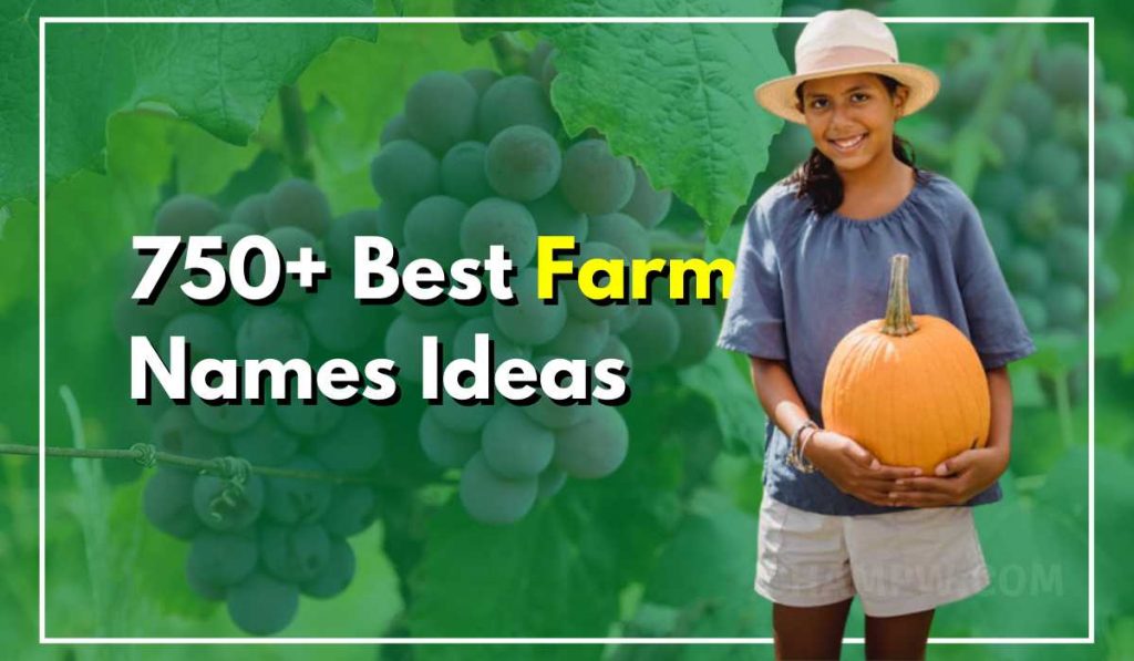 750+ New Farm Names To Start Your Super Profitable Business