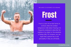 350+ Ice Nicknames With Meaning: The Ultimate List