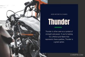 350+ Motorcycle Names That Resonate With Riders