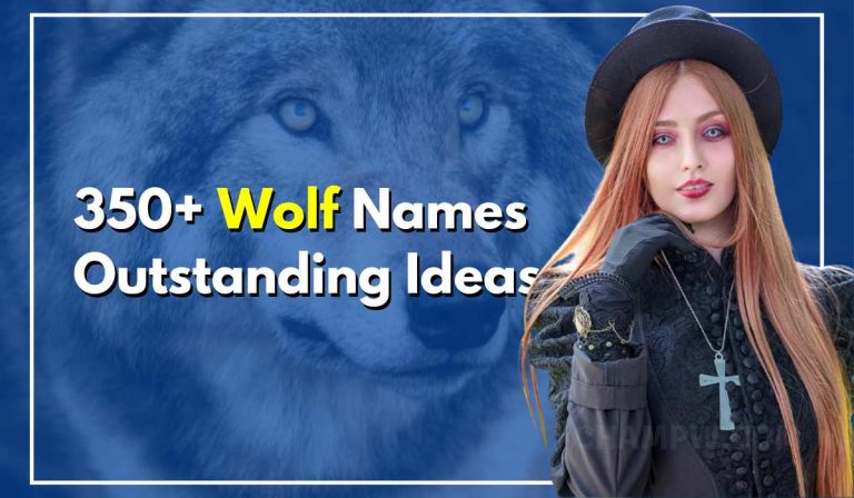 350+ Wolf Names Outstanding Ideas For Your Brave Lil' Friend