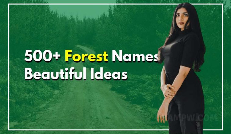 500+ Forest Names Beautiful Ideas For Your Perfect Storyline