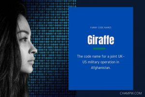 1000+ Cool Code Names With Meaning For Every Purpose