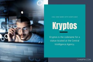 1000+ Cool Code Names With Meaning For Every Purpose