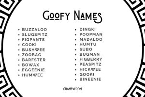 350+ Goofy Names With Meaning Behind Them
