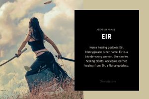 150+ Cool Assassin Names For Male & Female