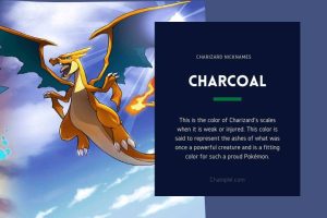 50+ Charizard Nicknames That Are Too Good To Miss