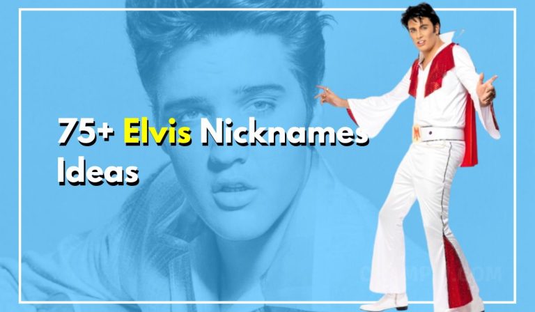75+ Elvis Nicknames: From Memphis Mystery To Vegas Vibe