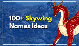 100+ Skywing Names & The Untold Stories Behind