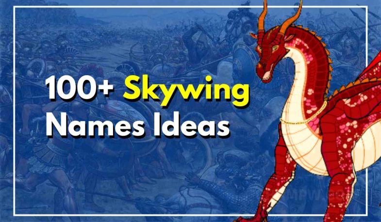 100+ Skywing Names & The Untold Stories Behind