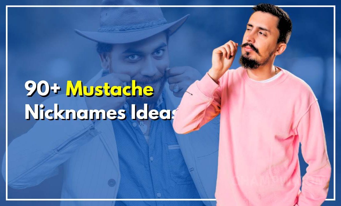 100+ Phoenix Names Legendary Ideas Just For You