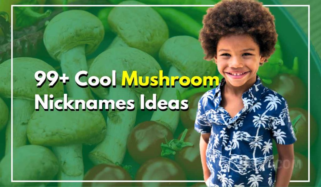 99+ Cool Mushroom Nicknames You Need To Know