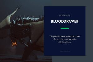 100+ Skywing Names & The Untold Stories Behind