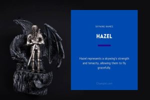 100+ Skywing Names & The Untold Stories Behind