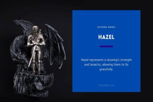 100+ Skywing Names & The Untold Stories Behind