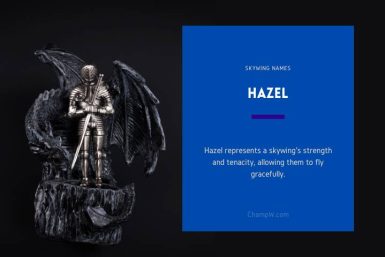 100+ Skywing Names & The Untold Stories Behind