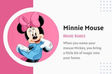 100+ Popular Mouse Names So Perfect, Even Cats Approve!
