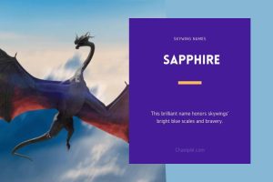 100+ Skywing Names & The Untold Stories Behind