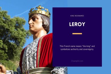 110+ King Nicknames That Matches Your Royal Personality!