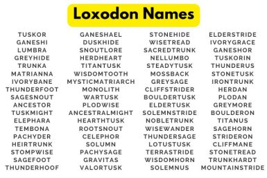 150+ Loxodon Names List Of Authentic Ideas That Stand Out