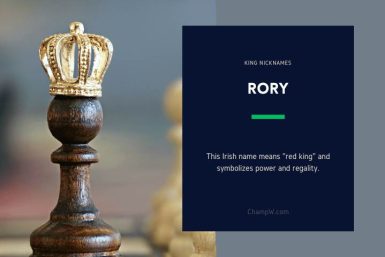 110+ King Nicknames That Matches Your Royal Personality!