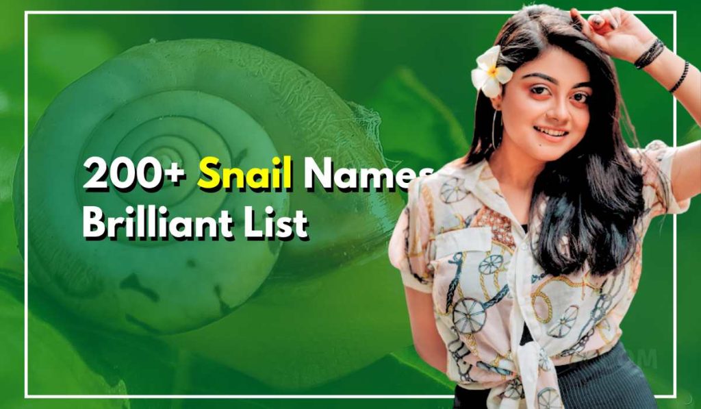 200+ Snail Names Brilliant List You Must Check Before Naming