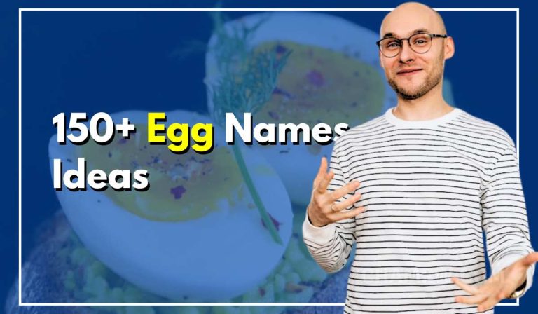 Cracking The Code Of Egg Names: 150+ Ideas