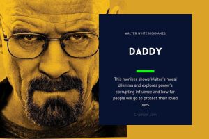 30+ Walter White Nicknames & Stories Behind Them